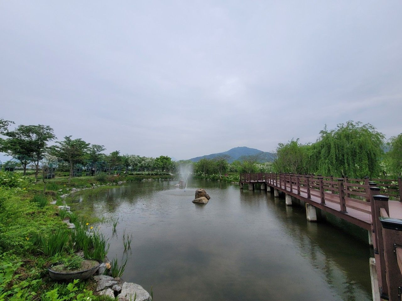 경남 거창 창포원 열대 식물원 봄꽃 나들이 100년 가게 샛별 초가집 아구찜 후기