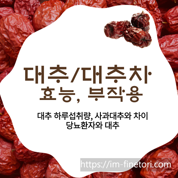 대추대추차 효능 부작용 하루권장량 사과대추 말린대추 차이