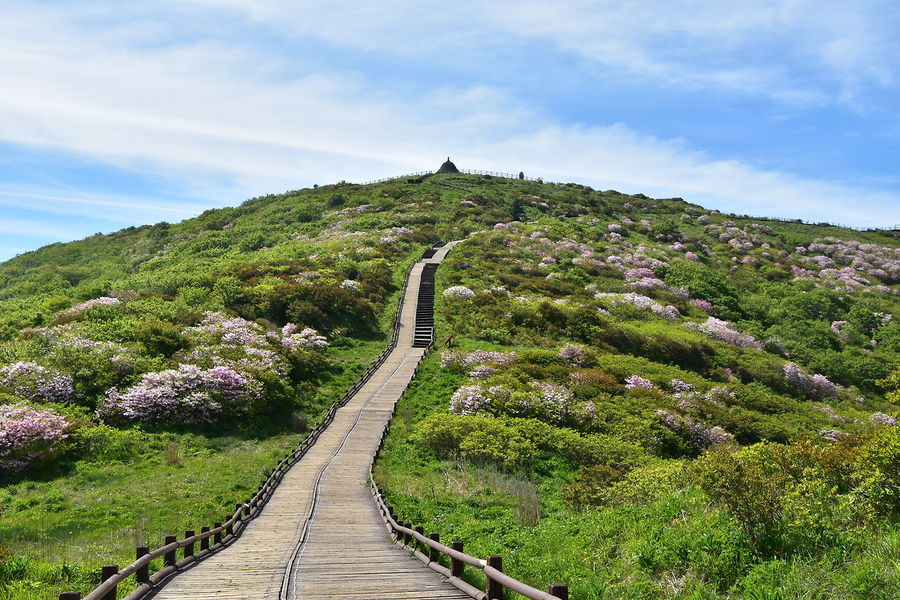 지리산 국립공원 산악날씨 | 안내지도 | 실시간 CCTV 확인 방법