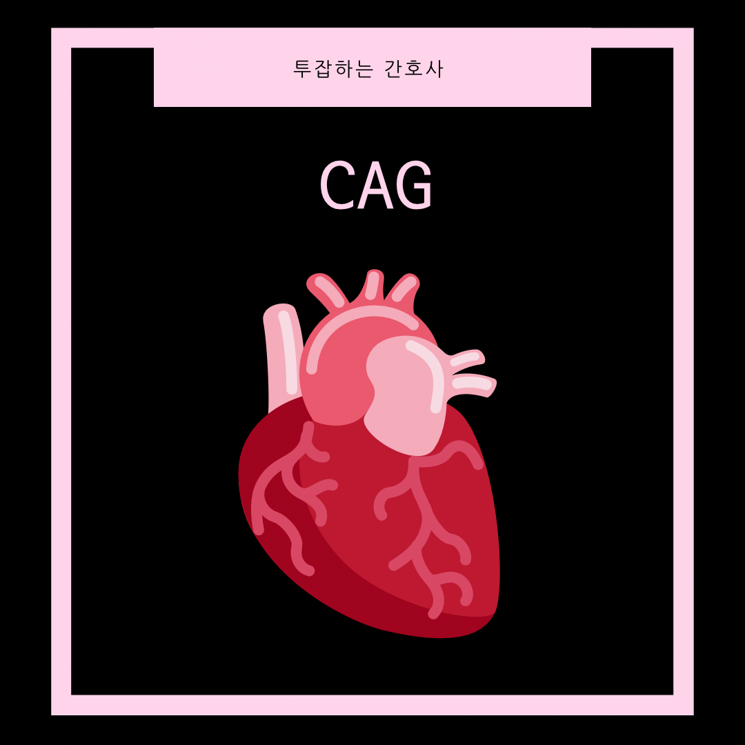Cag 의학용어 검사목적 방법 소요시간 주의사항까지 알아볼게요 투잡하는 간호사