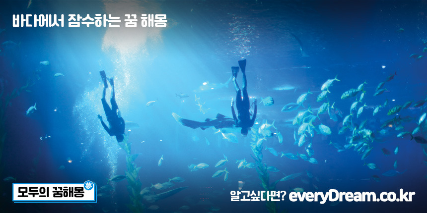 바다에서 잠수하는 꿈 해몽 맑은 바다에서 잠수하는 꿈 바다에서 잡수하는 꿈해몽 바다 꿈