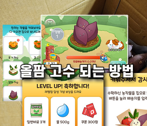 올팜 고수가 공개하는 올웨이즈 올팜 농작물 빨리 키우는 물받기 비료받기 재배 순서 노하우