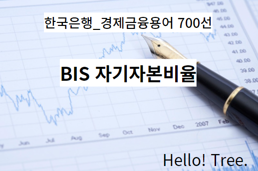 BIS 자기자본비율(BIS Capital Adequacy Ratio, 이하 BIS 비율)