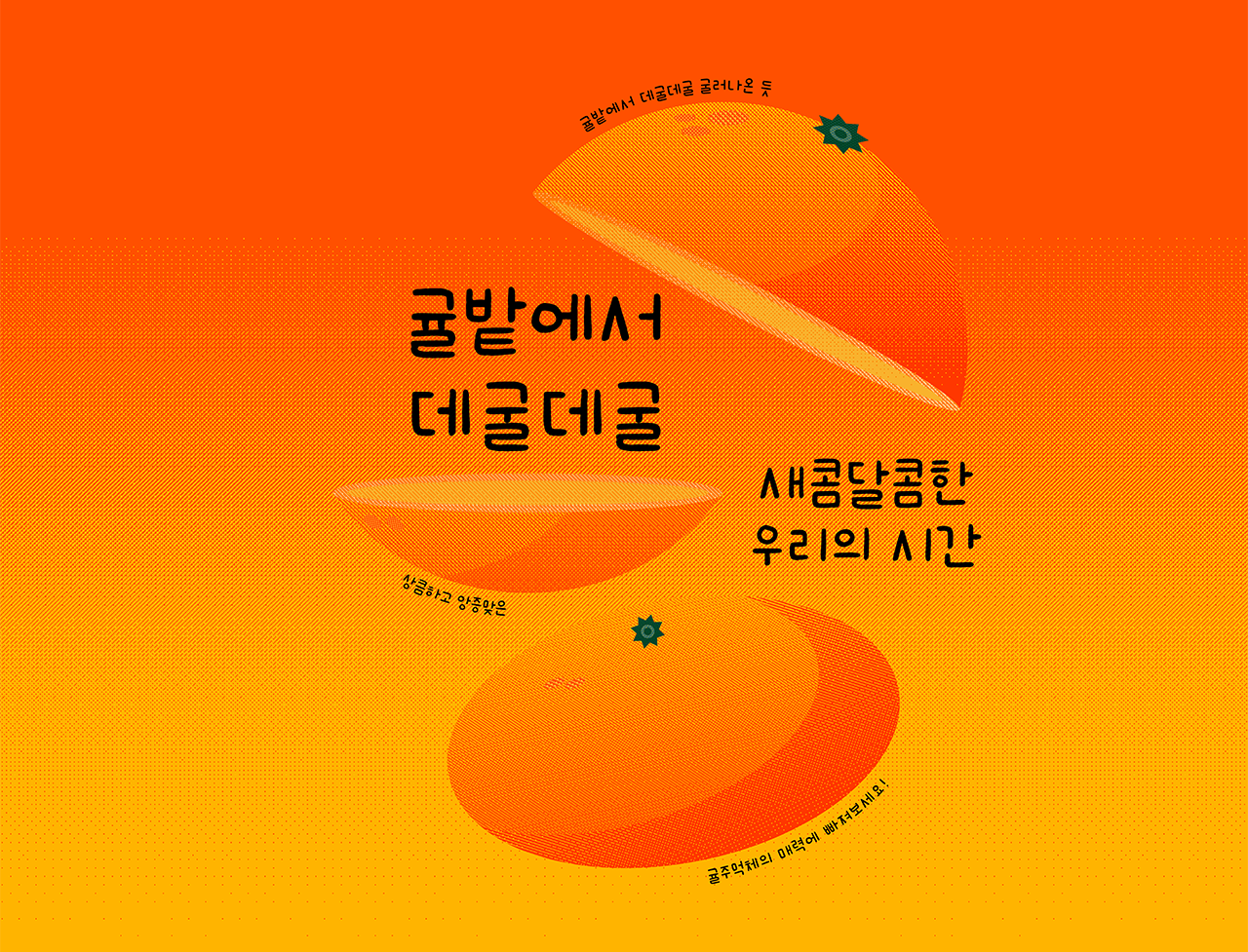 폰코에 새로운 손글씨 폰트가 출시됐어요 공캘리그라피 싱글폰트 3종