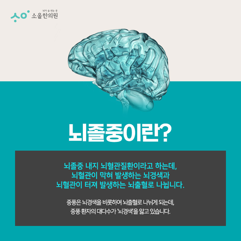 뇌졸중 뇌출혈 뇌경색 개념 정리 확실히 할게요