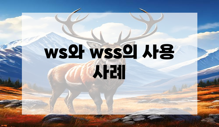 ws와 wss 차이점 알아보기 - 빠르게 보여준다