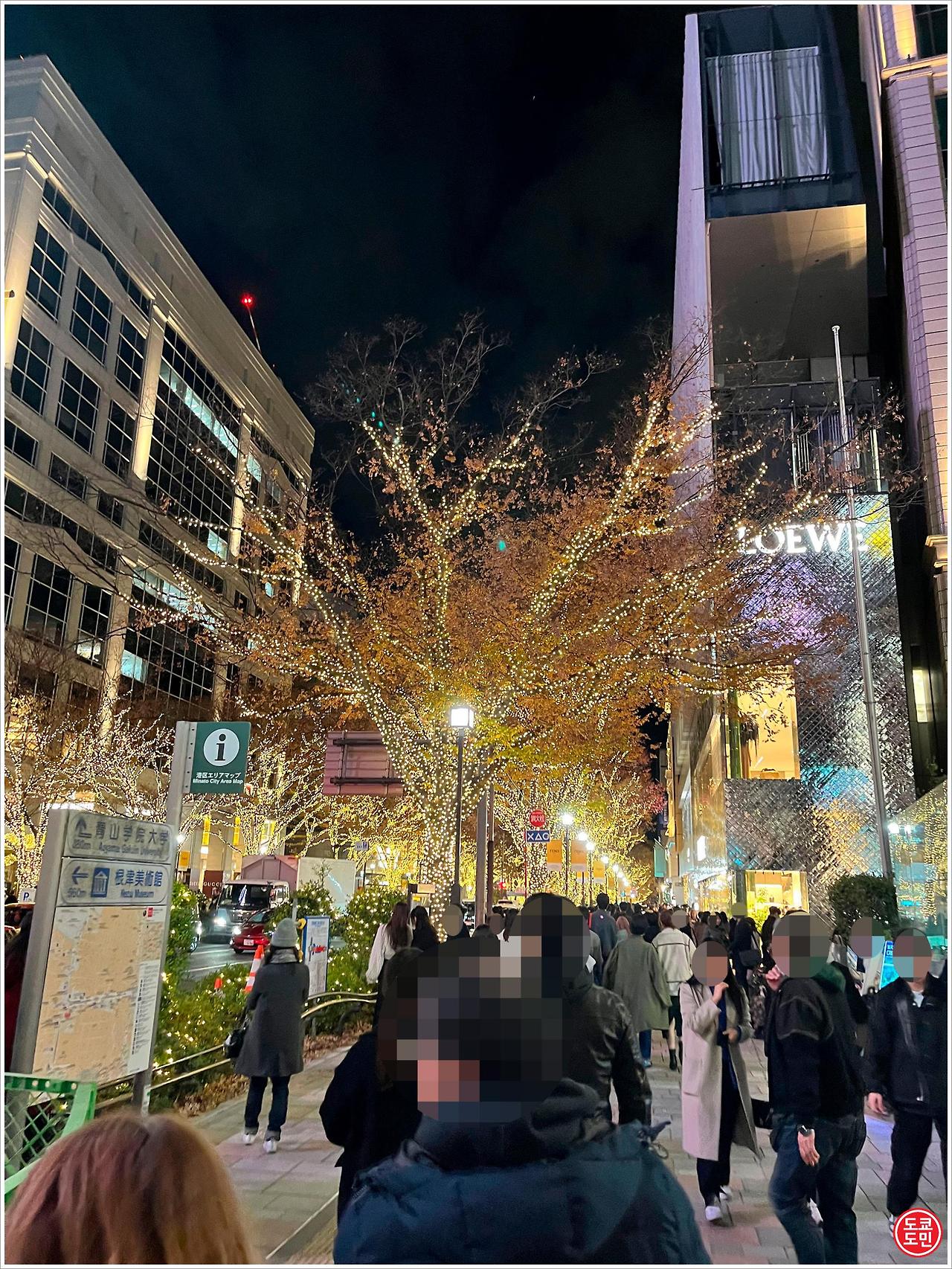 도쿄 볼거리 오모테산도 일루미네이션 12월 도쿄여행 추천 관광지