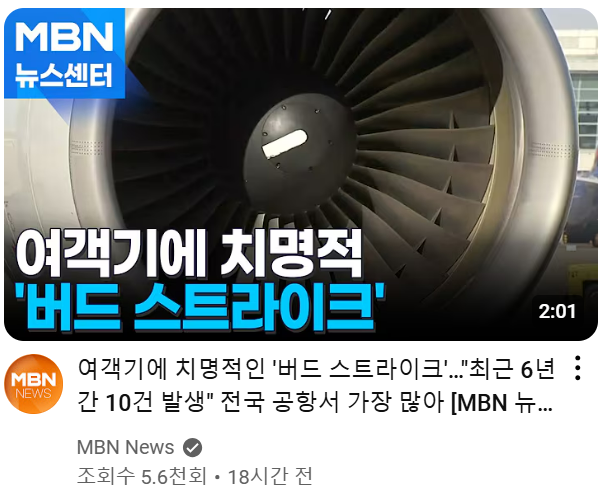 항공 안전의 적 버드 스트라이크 Bird Strike 뜻 확률 피해 실제 사례 전문가 분석 모든 것