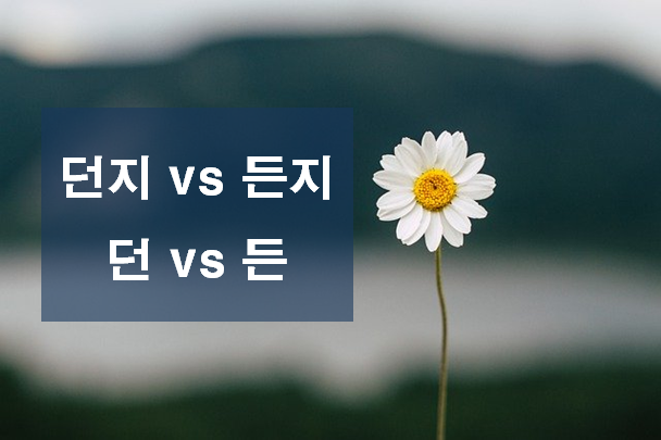 던지든지 든지던지 든던 던든 차이 올바른 사용법