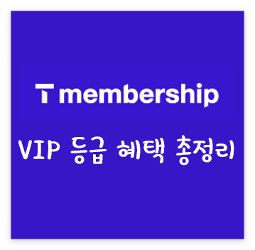 SKT T멤버십 VIP 등급 혜택 총정리