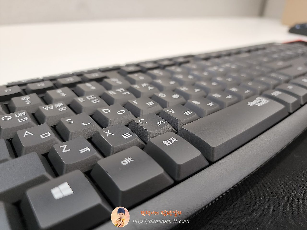 사무실 키보드 마우스의 기본? 로지텍 MK295 Silent Wireless Combo.