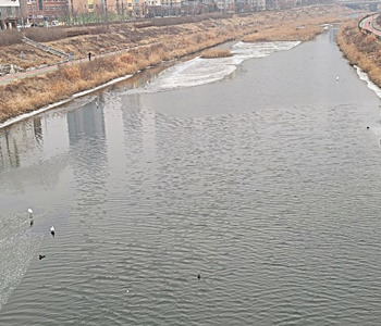 ELS/DLS 세금 계산 방법과 신고 기준, 절세 방법 총 정리