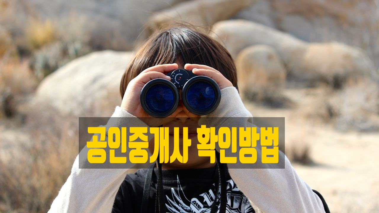 공인중개사 확인 소속공인중개사 및 중개보조원 확인하는 방법정상적인 부동산 확인하는 방법