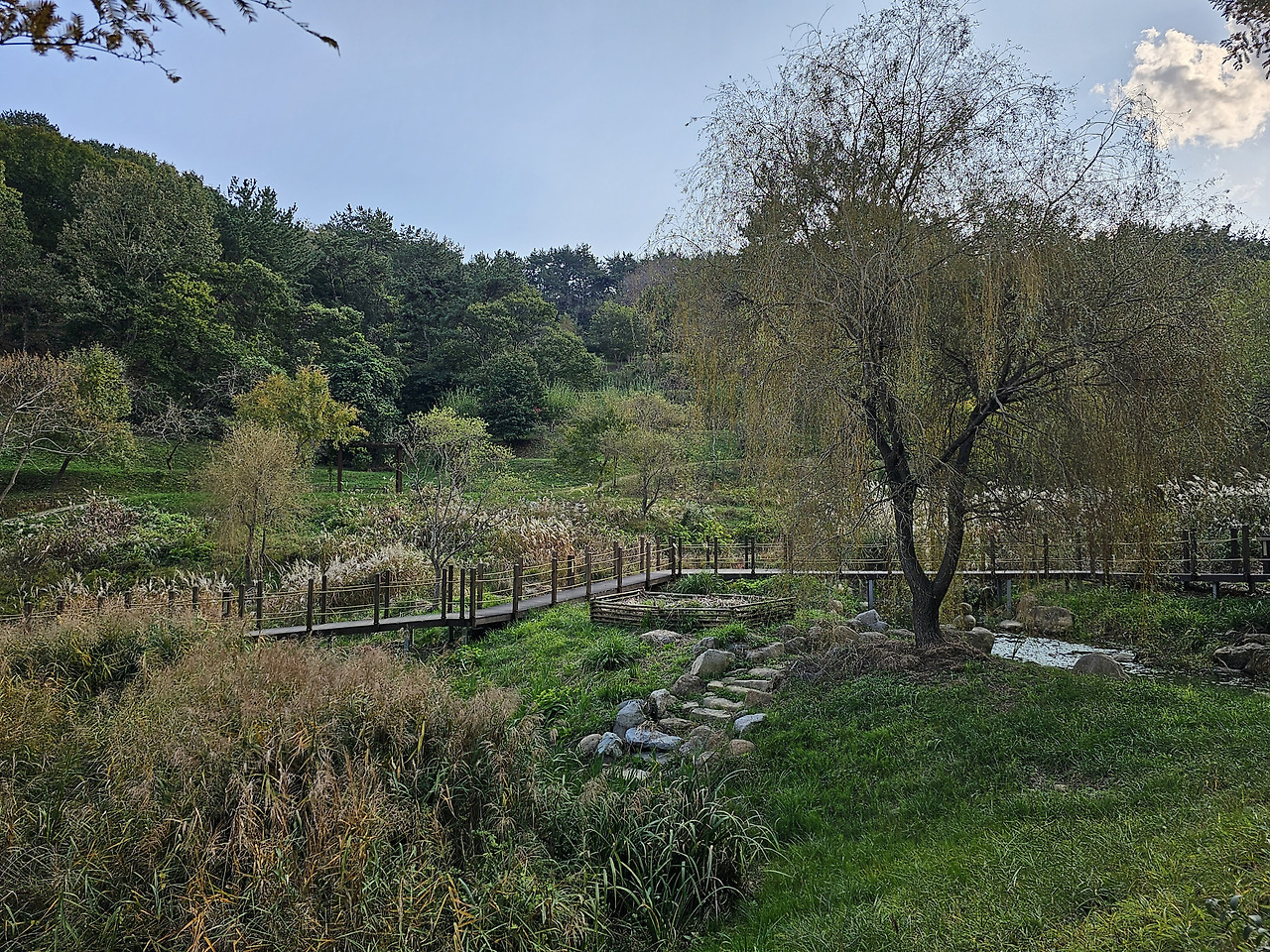 [경남/통영] 통영 RCE 세자트라 숲