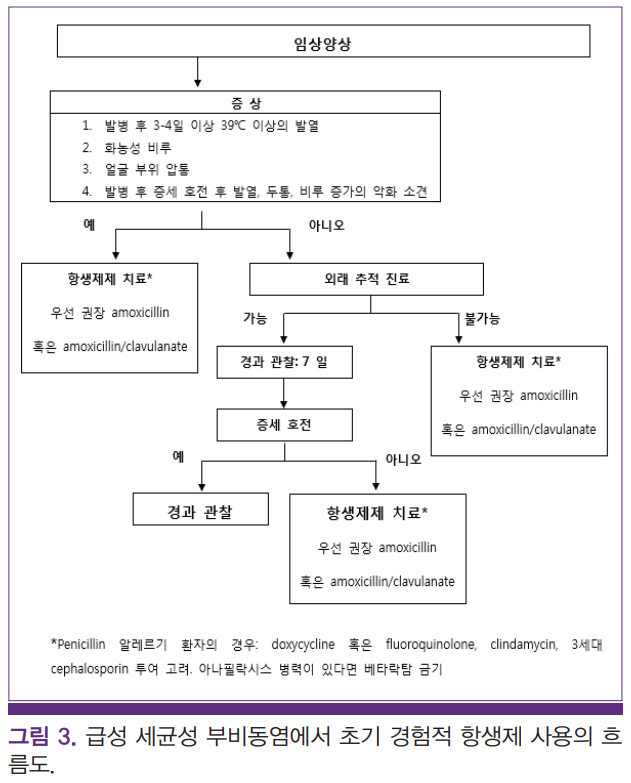 감기 Common Cold 원인바이러스 감별질환 급성기관지염 효과있는치료 효과없는치료 부루펜과타이레놀 급성인두편도염