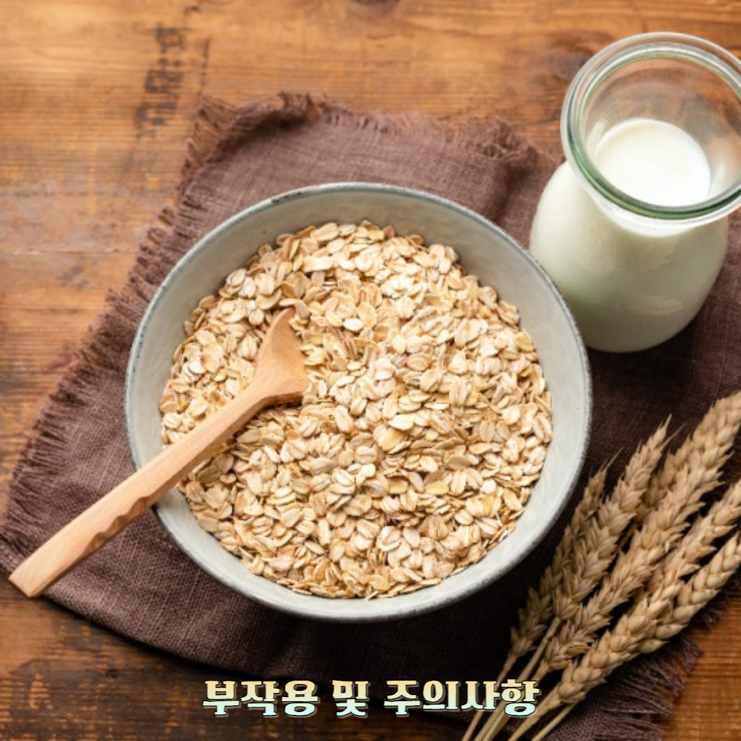 오트밀 효능 영양성분 고르는 법 부작용