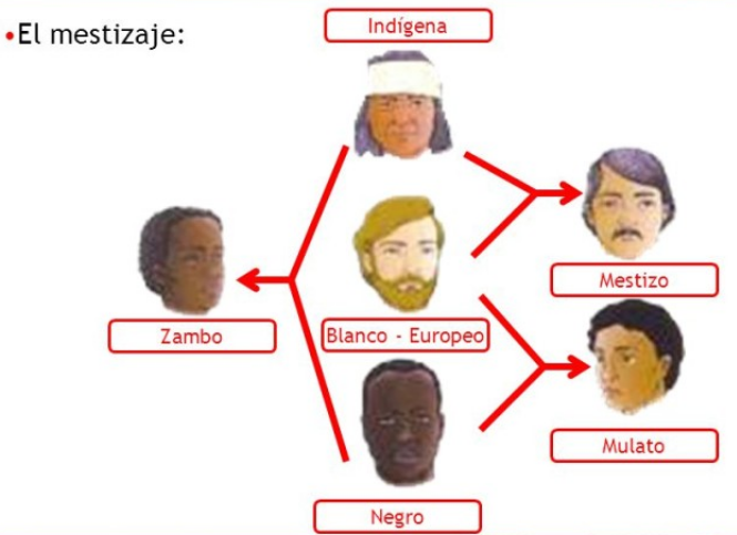 인종 분류, 민족, 종족 분류, Caucasoid(코케이선, 코카서스 인종, 코카소이드, 백인), Mongoloid (몽골로이드 ...
