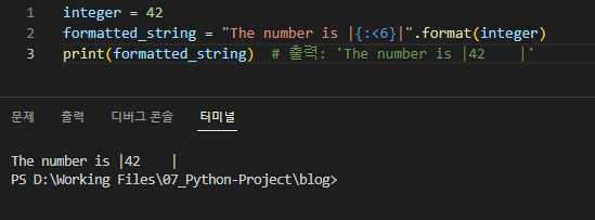 [Python] str 함수와 format함수 사용법
