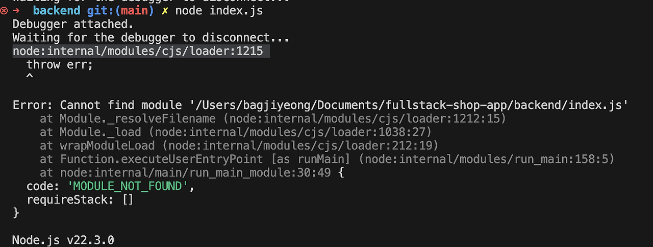 node index.js로 실행 시 node:internal/modules/cjs/loader:1215 예외 발생