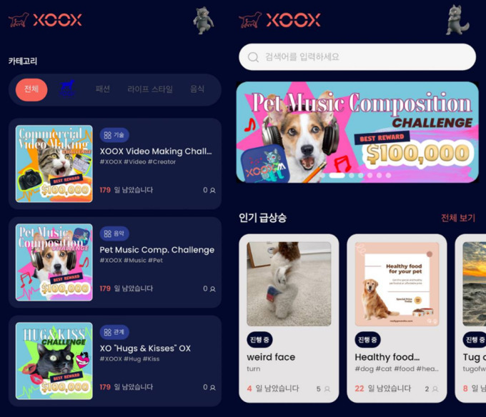 비투엔·XOOX·메디클라우드, 한국 합자법인 계약 체결…세계적인 펫 플랫폼 한국 상륙