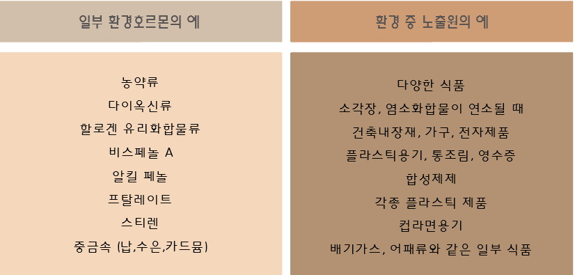 환경호르몬 Environmental Hormone 정의 특성 노출경로 인체에 미치는 영향