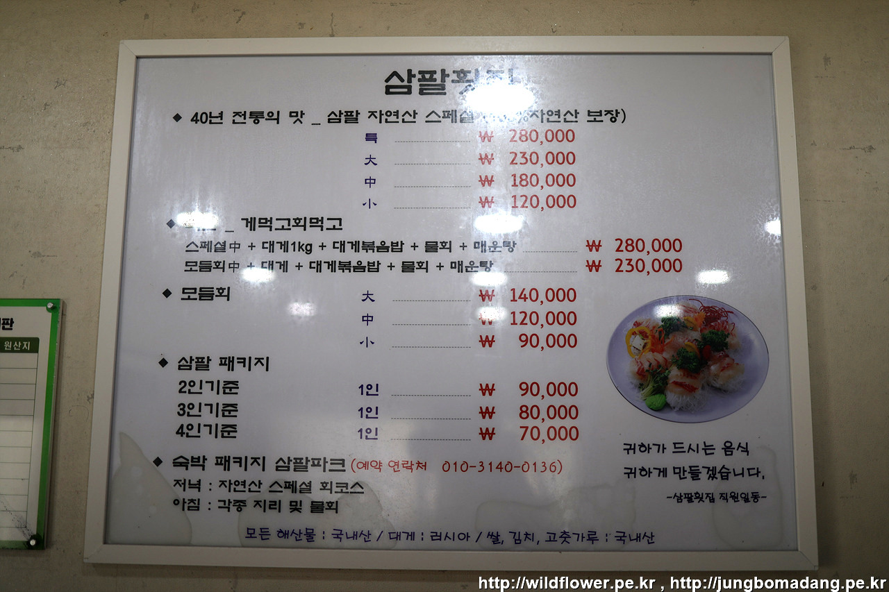 강원도 양양 휴휴암 기사문해변 삼팔횟집 하조대해변 대중교통 당일치기 여행 2023 12 29