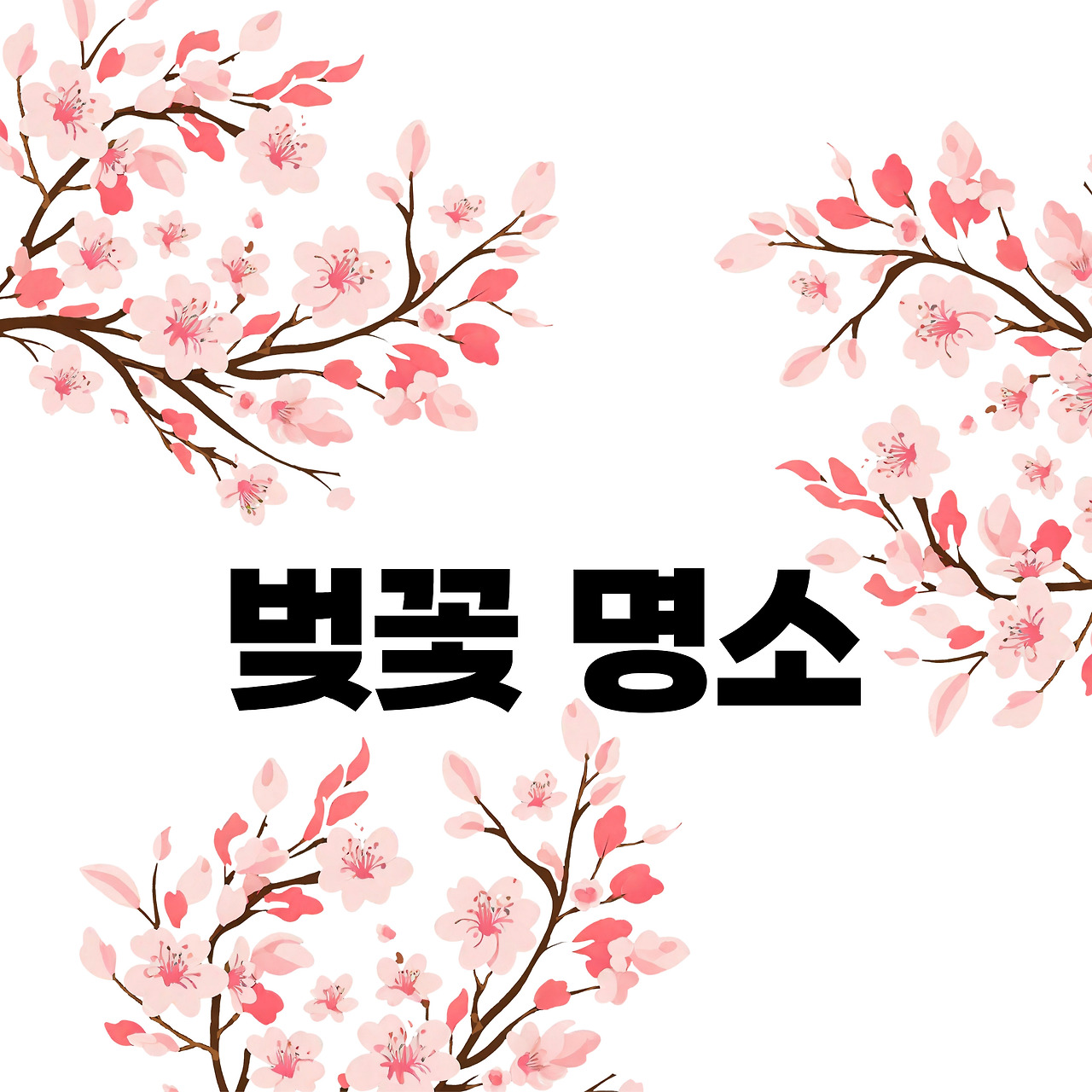 2026 서울 벚꽃 명소 개화 만개 시기