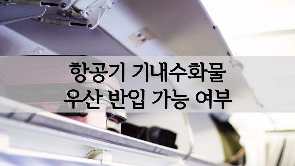 항공기 기내수화물위탁수하물 우산 기내반입 가능 여부대한항공 티웨이 에어서울 등