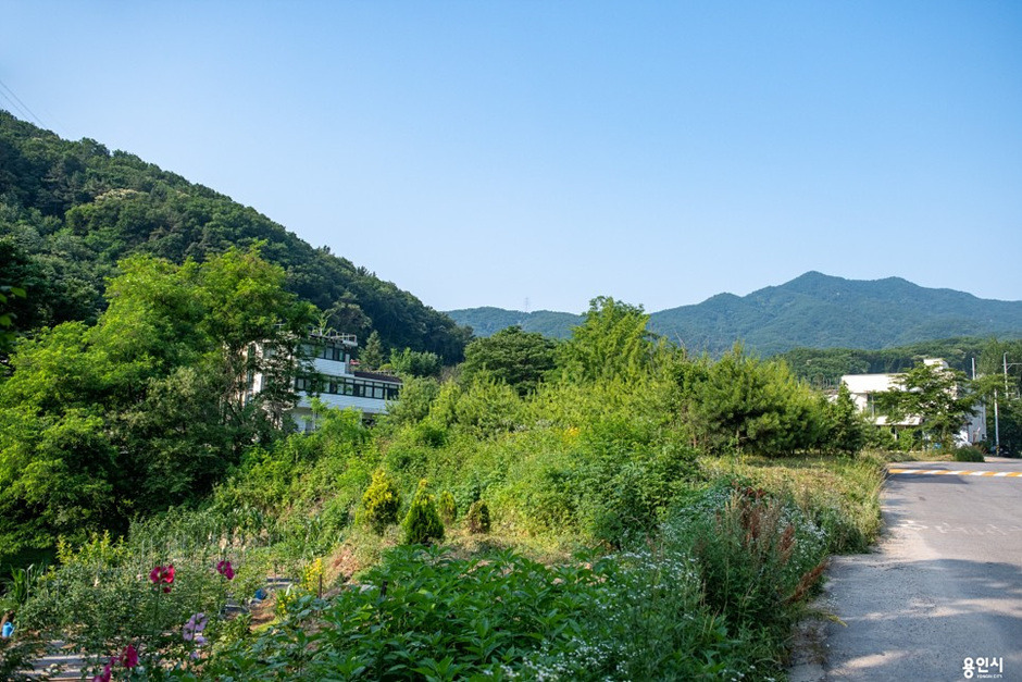 경기도 용인시 고기리계곡