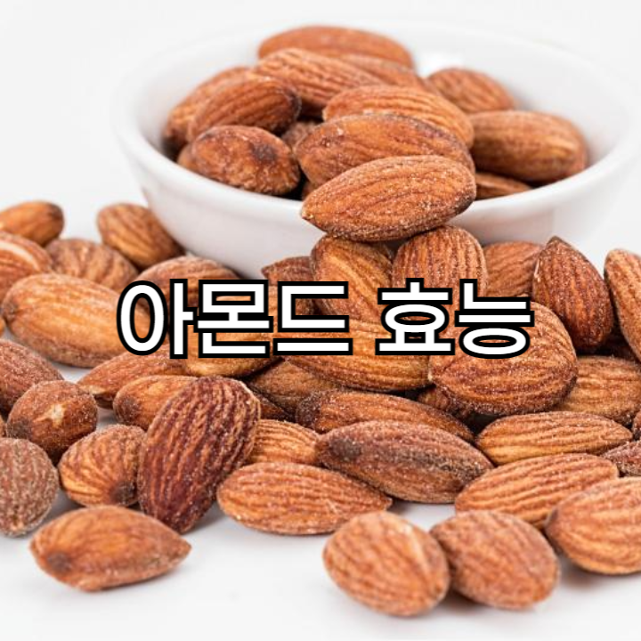 건강과 미용에 효과적인 아몬드의 효능 영양성분 주의사항 보관방법 등 알아보기