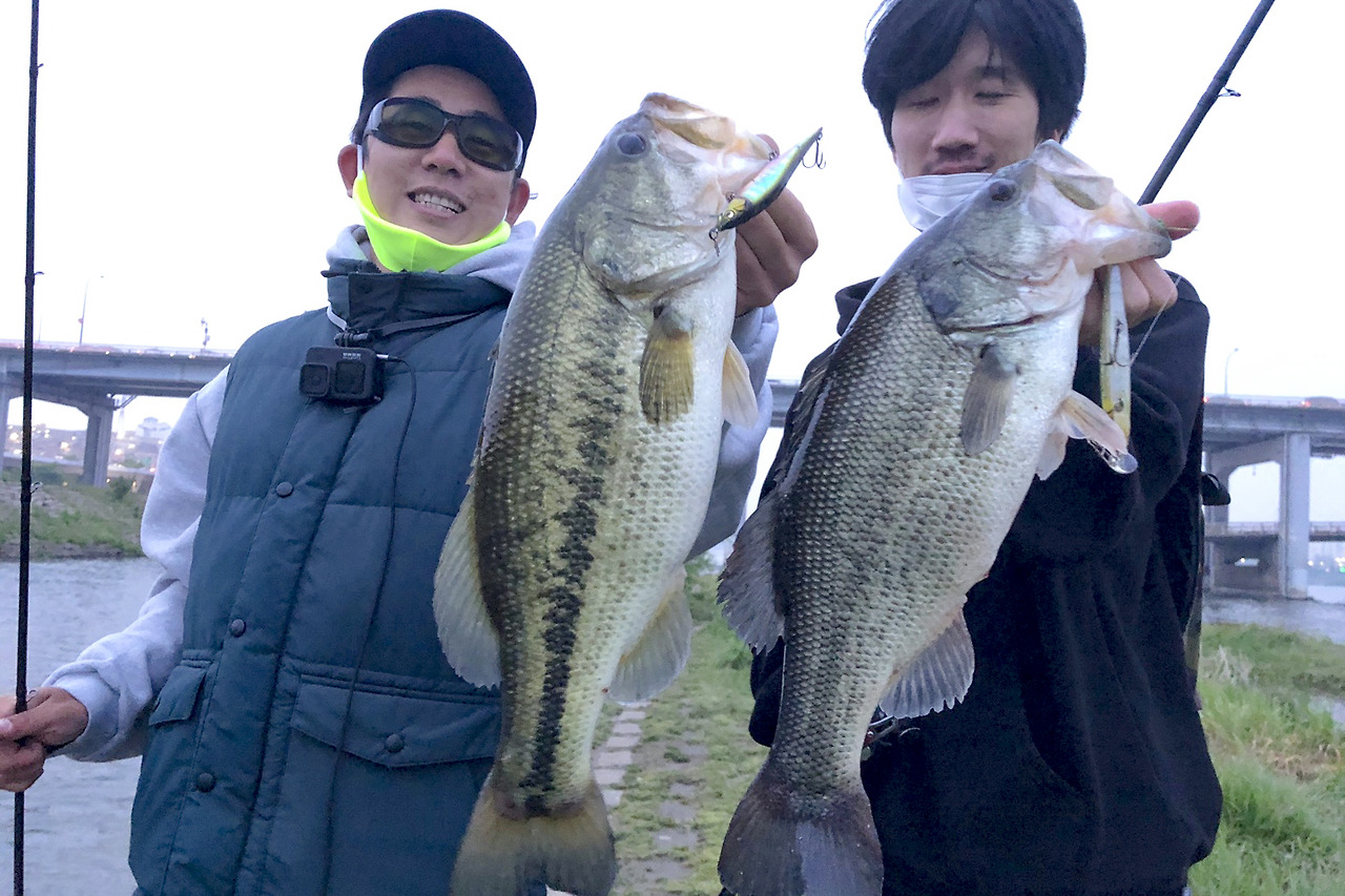 한강, 반포대교 옆 반포유 포인트에서의 봄 배스!