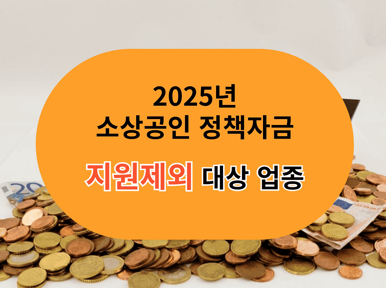 2025년 소상공인 정책자금 융자제외 대상 업종
