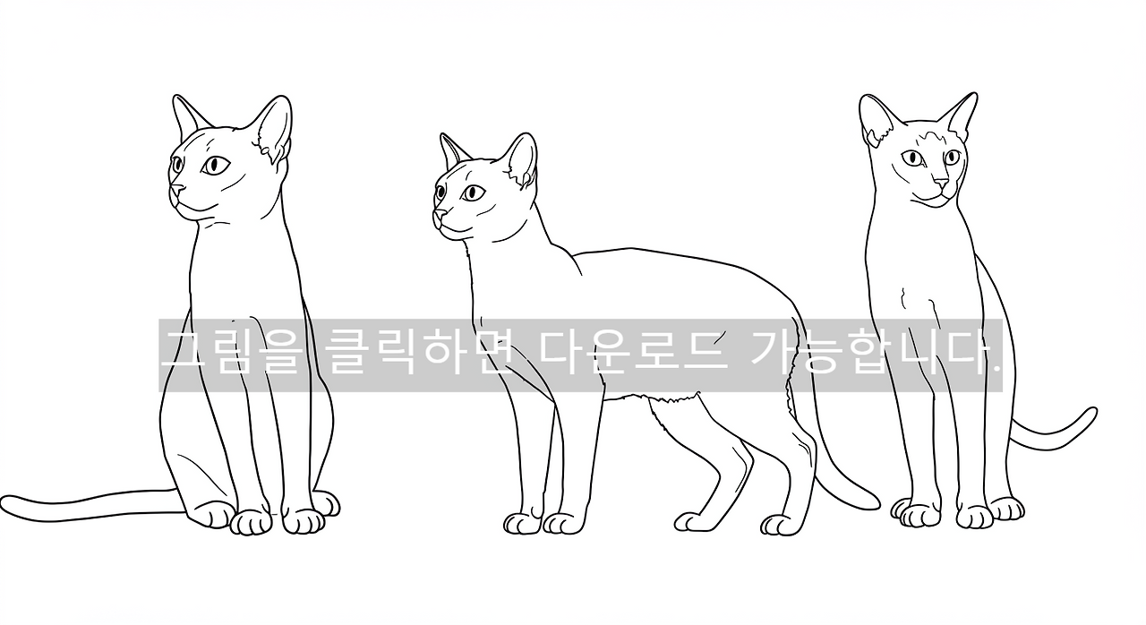 고양이 색칠 공부 도안다운로드 고양이의 신기한 습성🐾