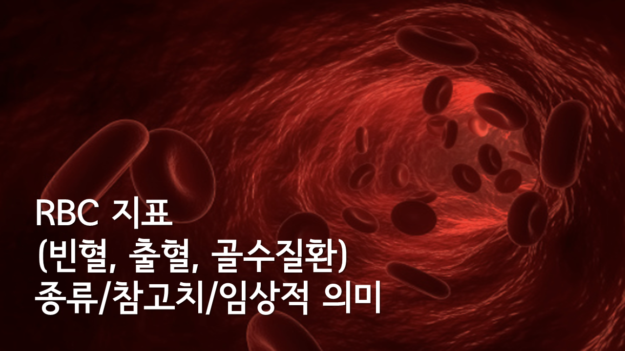 혈액검사 적혈구rbc 기능 및 수치hb Hct Mcv Mch Mchc 등 종류 정상수치 임상적 의미