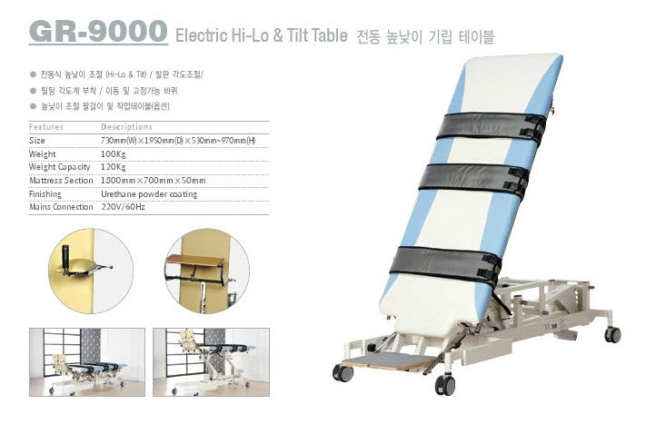 의료용 전동 틸팅테이블틸트테이블전동 기립테이블전동 기립침대모델 E402 And Gr9000 2단 판매합니다
