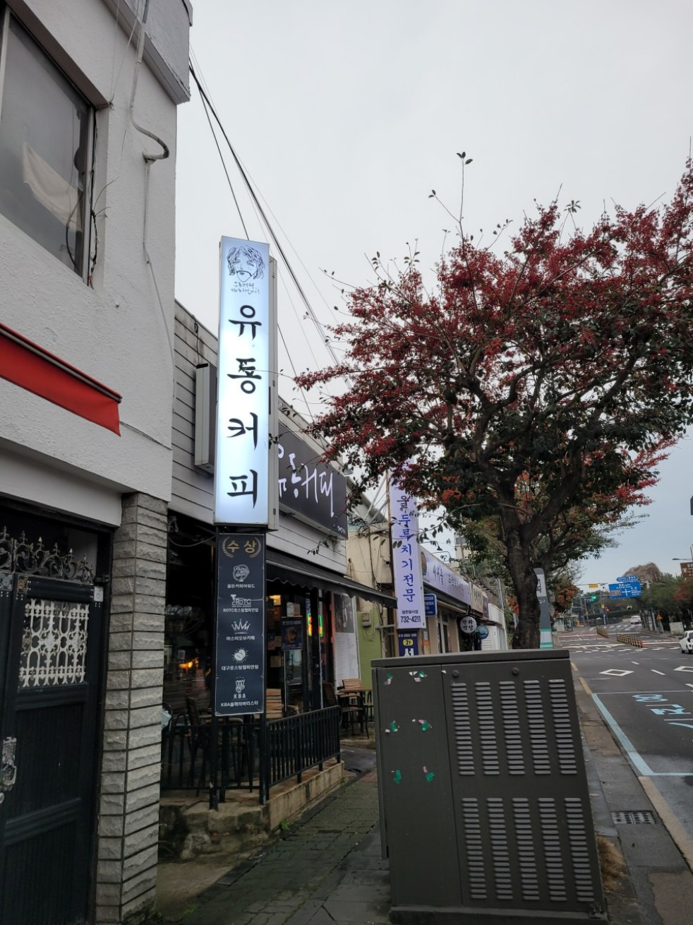 서귀포 올레시장 맛집 베스트 10 현지인 추천 포함