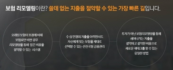 보험 보장분석 및 리모델링개념 필요성 주요 항목 절차 및 전략 결론