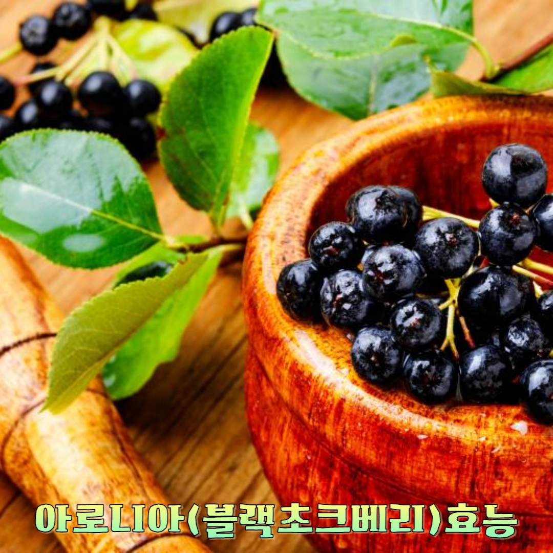 아로니아 블랙초크베리 효능 영양성분 고르는법 부작용