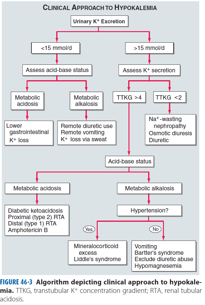 칼륨 계산기 (TTKG, Urine K-to-Cr ratio ; 하루 소변 K 배출량 추정)