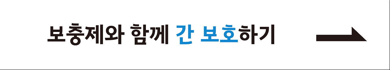 단백질 보충제의 종류와 체형별 보충제 추천 보충제의 올바른 섭취방법
