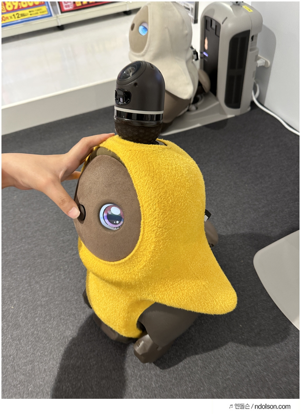 일본 AI인공지능 애완로봇 러봇(LOVOT) 오키나와 이온몰 매장에서 만났네요!