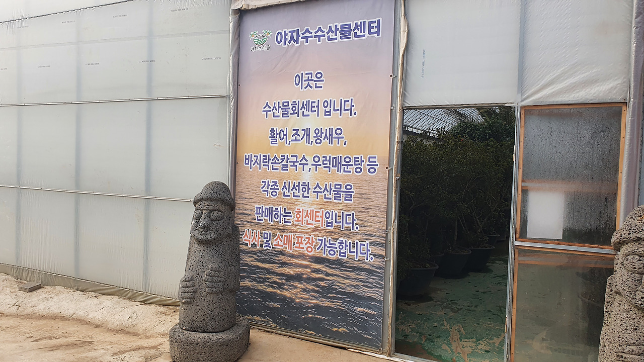 궁평항→국화도→입파도 배시간표 And 나들이추천