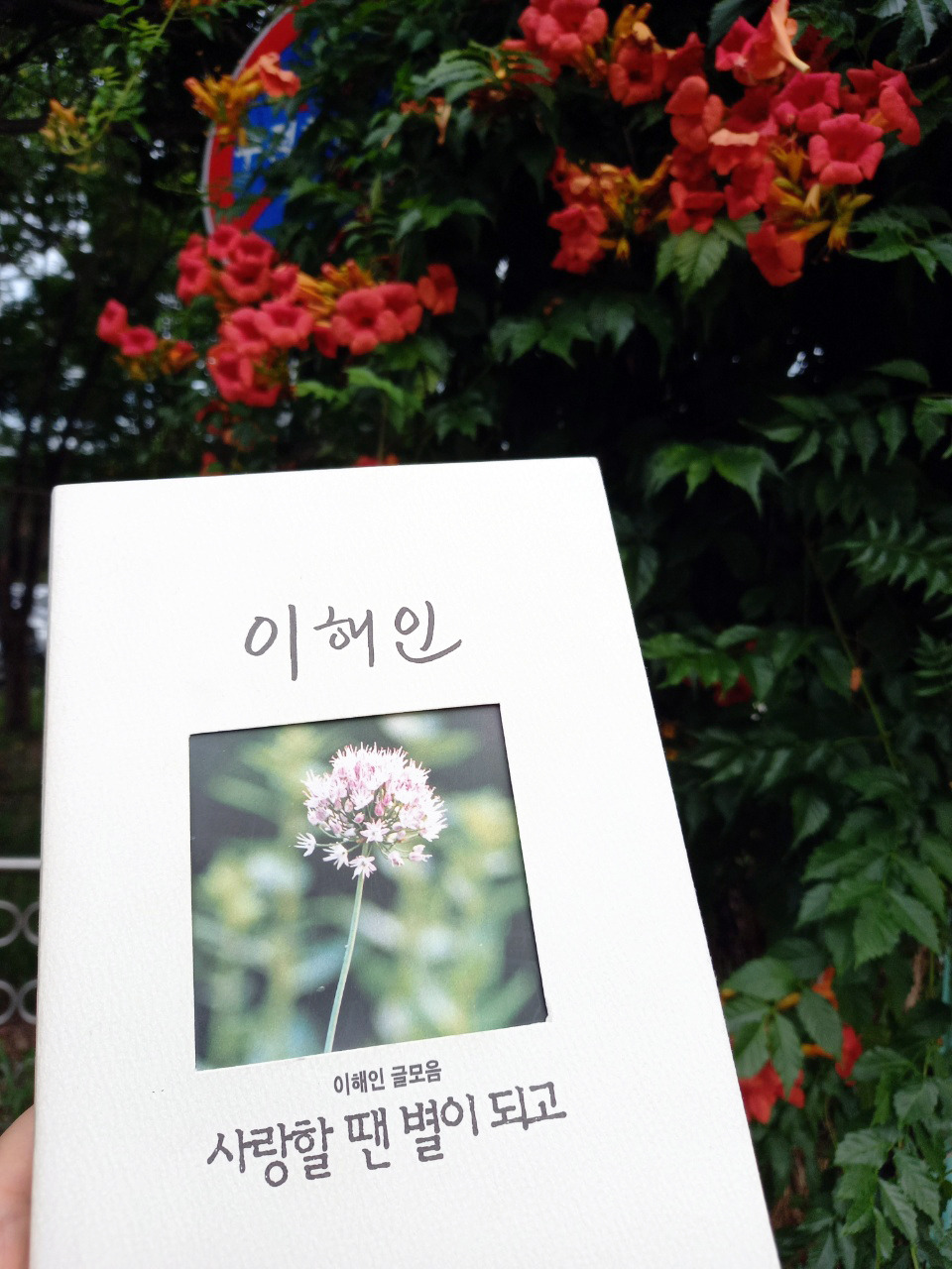 책 읽는 서대문 이해인 글모음 사랑할 땐 별이 되고