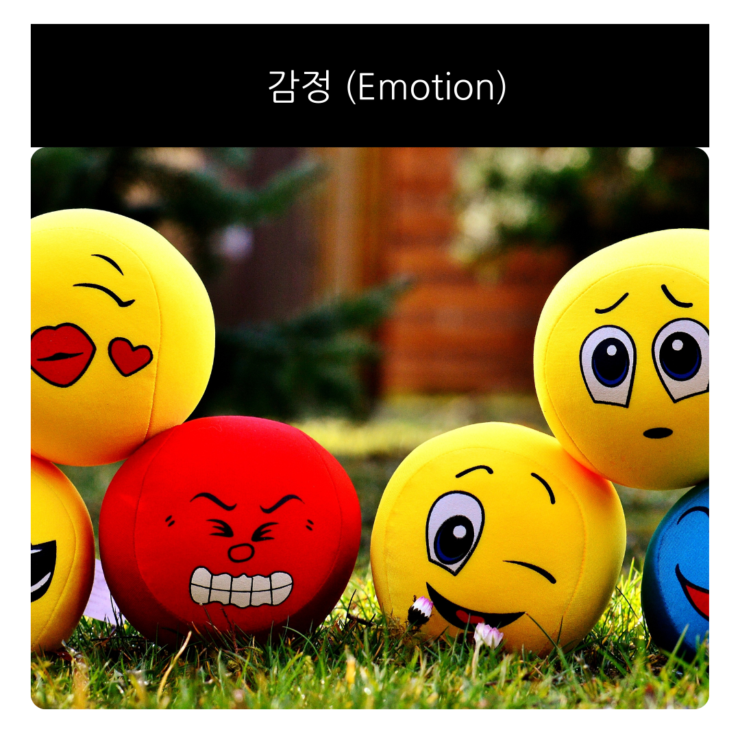 심리학용어 감정 Emotion 이란