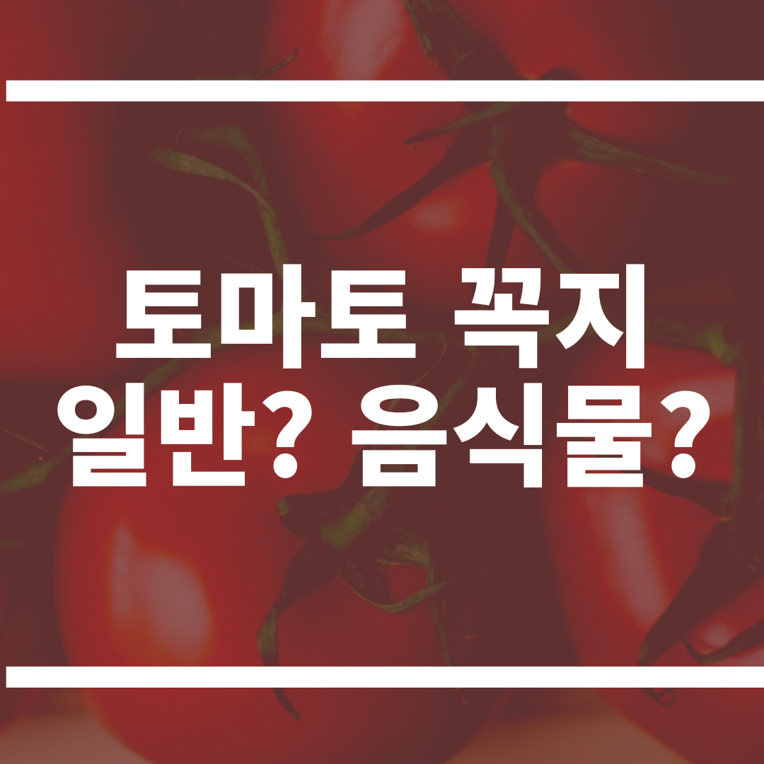 토마토 꼭지 귤껍질 어디로 버릴까 헷갈리는 분리수거 10가지 완벽 정리