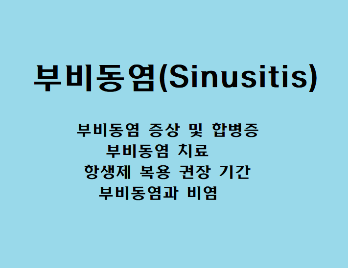 부비동염 증상 및 합병증 치료와 항생제 복용 권장기간 비염과 차이점 갓생