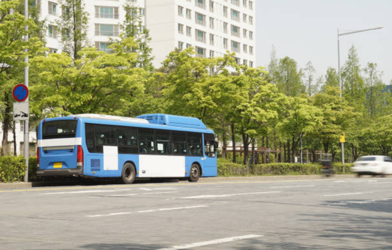대구 시내버스 요금 운행 시간표 안내