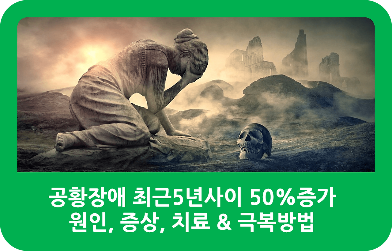 공황장애 최근 5년 50 급증 증상 자가진단 치유와 극복방법 정신건강복지센타 전국 244개 운영
