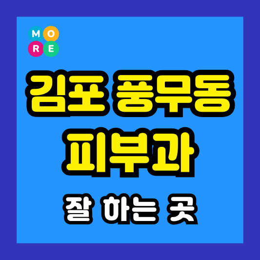 김포 풍무동 피부과 가격 후기 좋고 잘하는 List 3곳 추천 잘보는 근처 전문의 병원