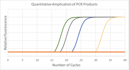 [Genetics-m2] 다양한 PCR 방법들